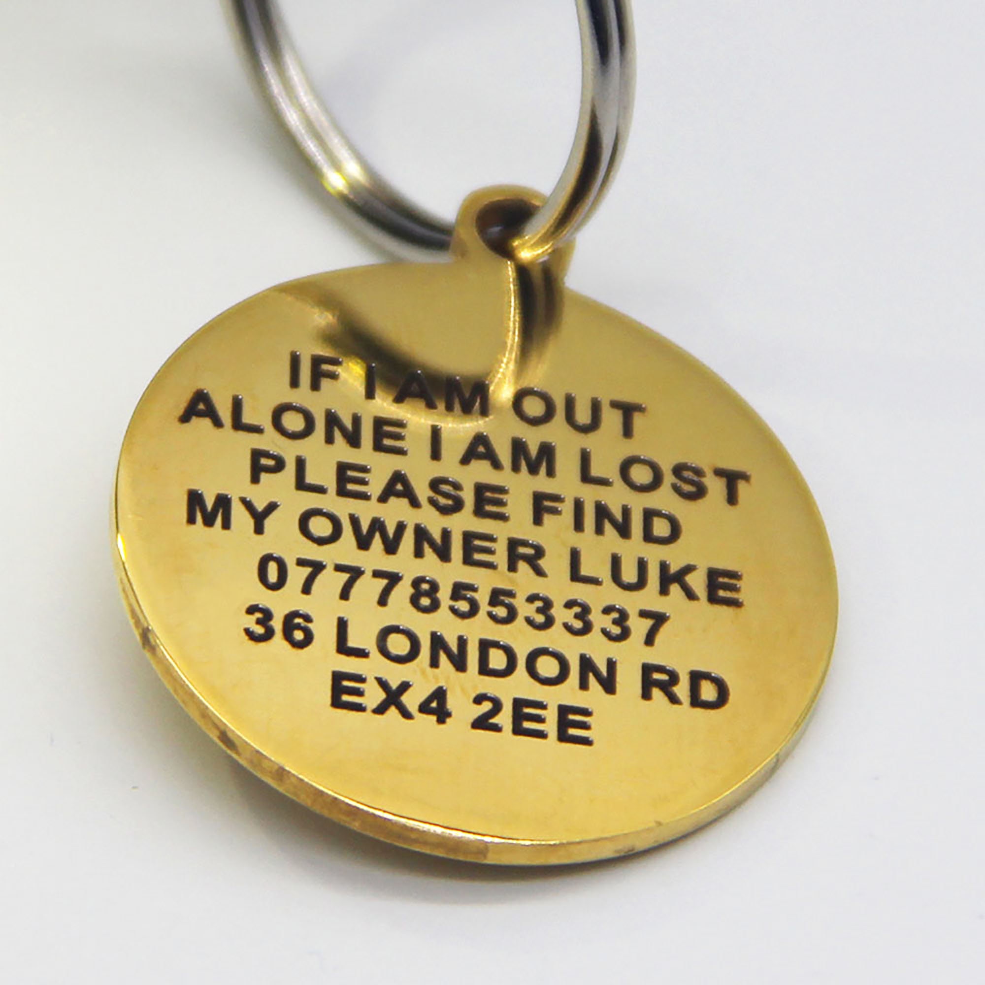 Premium Engraved Personalised Dog Tag Cat Tag Pet Tag Puppy - Etsy