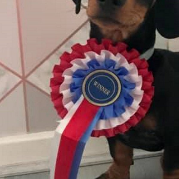 Box Pleat Ribbon - Etsy