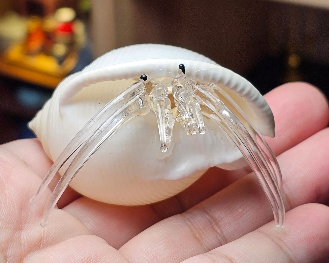 Hermit CRAB Clear Glass in Real Shell Art Glass Animal Figurine Marine ...
