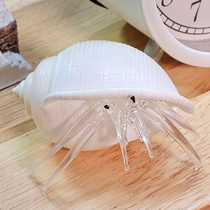 Hermit CRAB Clear Glass in Real Shell Art Glass Animal Figurine Marine ...