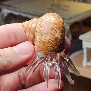 Hermit CRAB Clear Glass in Real Shell Art Glass Animal Figurine Marine ...
