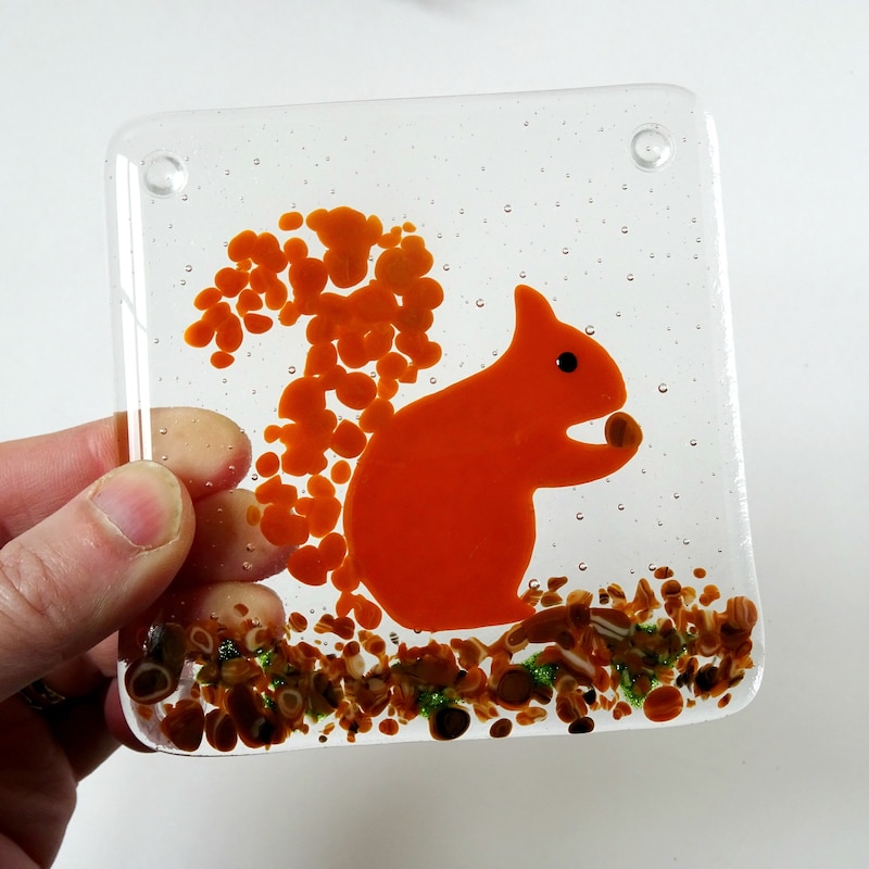 Coasters With Squirrel - Etsy UK