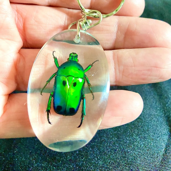 Beetle Ring - Etsy