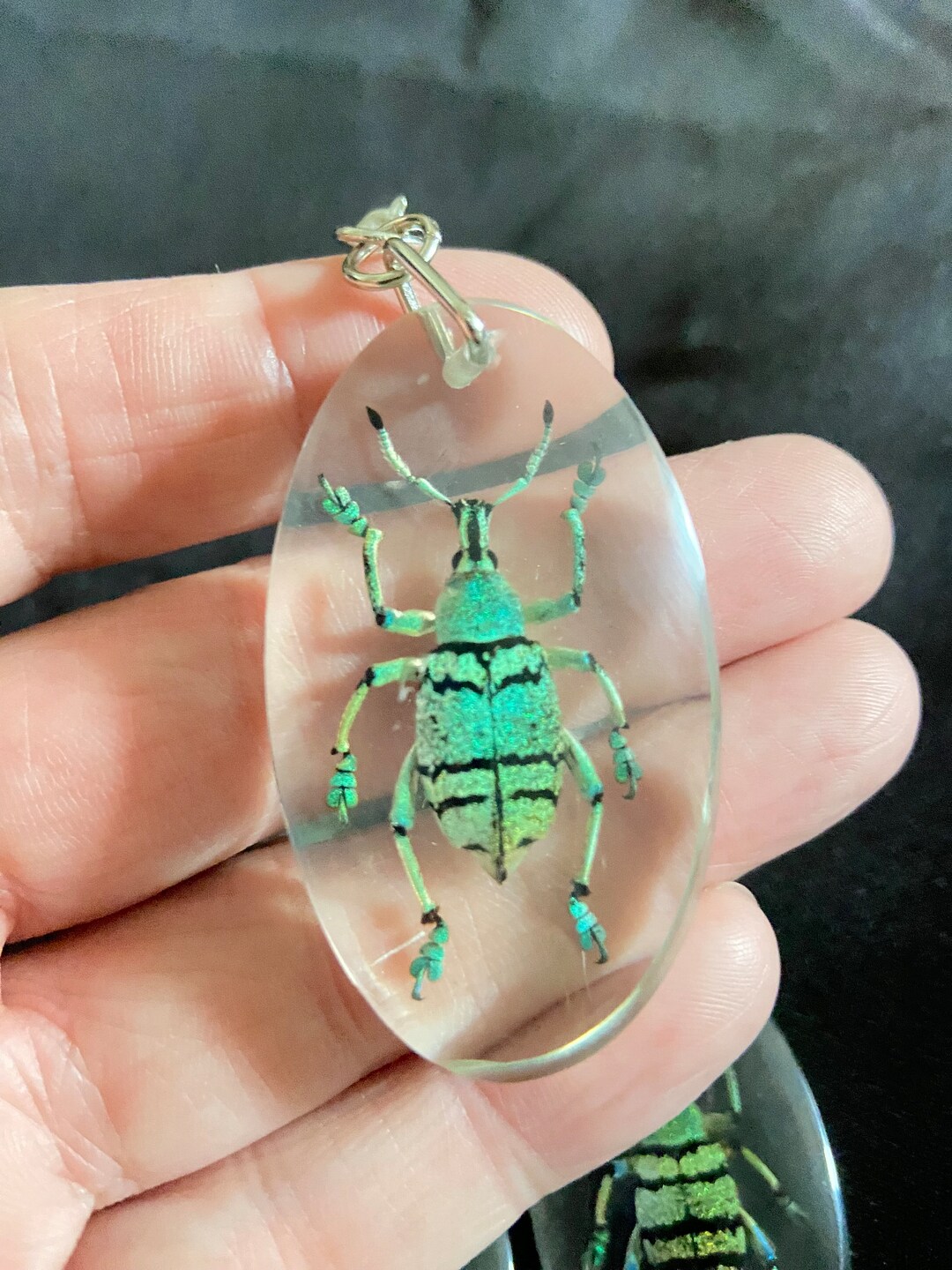 Beetle Key Ring. Real Insect. - Etsy