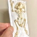 Toad Skeleton Real. (duttaphrynus Melanosticus) Skeleton Toad ...