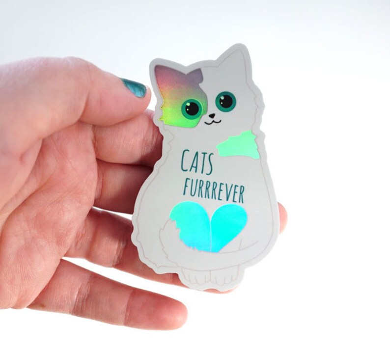 Cat Sticker Holographic Cat Cat Eyes Sticker Rainbow - Etsy