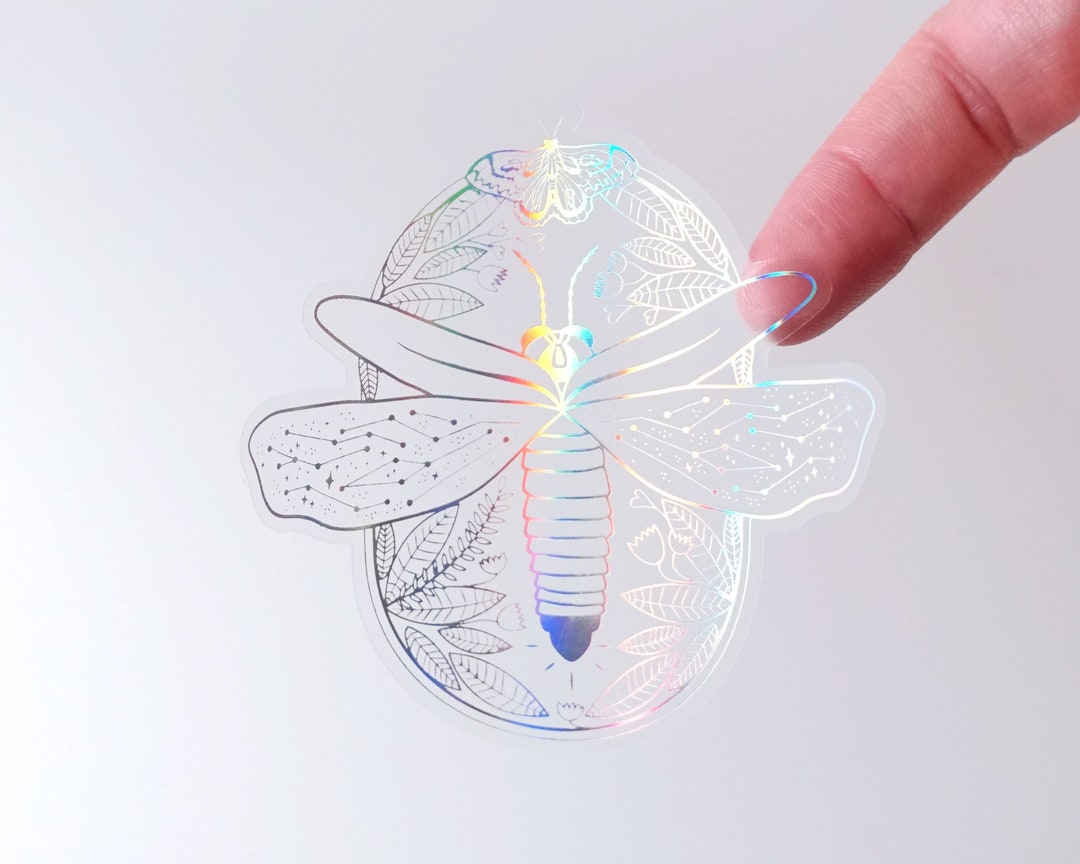 Fireflies Transparent Sticker, Insect Sticker, Nature Lover Sticker ...