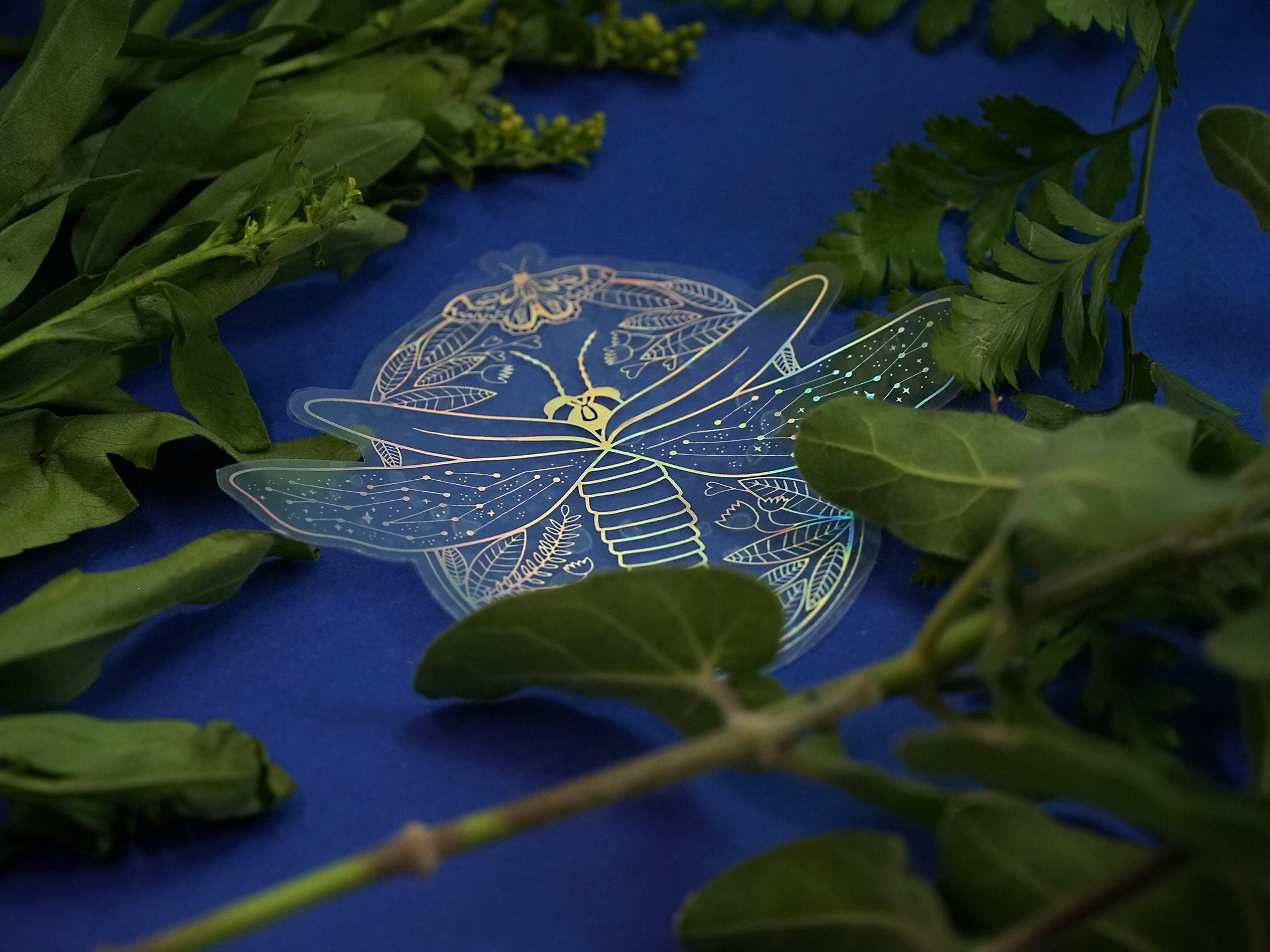 Fireflies Transparent Sticker Insect Sticker Nature Lover - Etsy