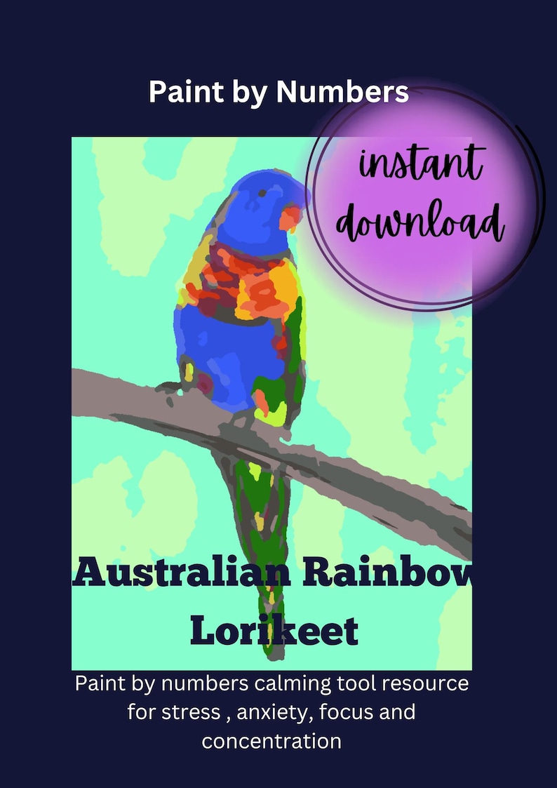 Australian Rainbow Lorikeet Printable Paint by Number Bird Series ...