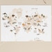 ANIMAL WORLD MAP Printable | Digital Download | Animal Map | Nursery ...