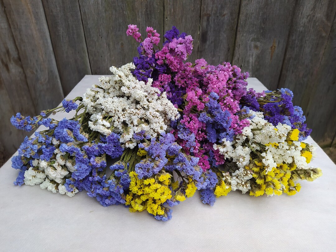 Dried Statice Mix, Dried Limonium, Dried Statice Bouquet - Etsy