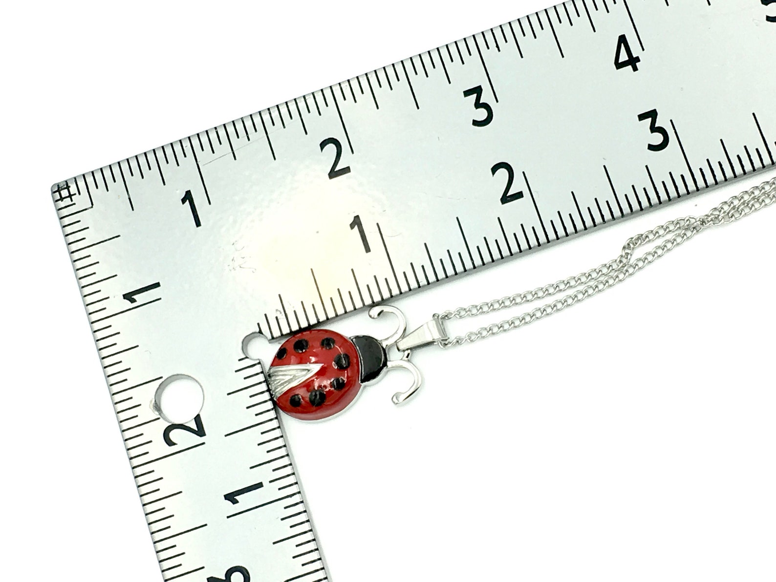 Personalized Ladybug Urn Necklace, Custom Engraved, Timeless Keepsake ...