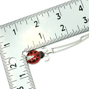 Personalized Ladybug Urn Necklace, Custom Engraved, Timeless Keepsake ...