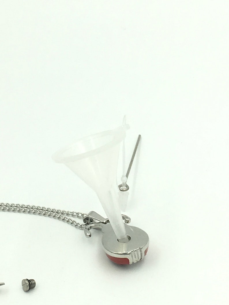 Personalized Ladybug Urn Necklace, Custom Engraved, Timeless Keepsake ...