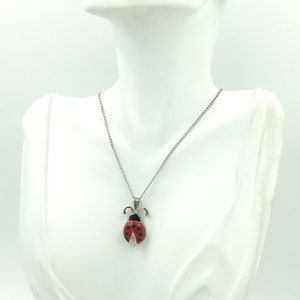 Personalized Ladybug Urn Necklace, Custom Engraved, Timeless Keepsake ...