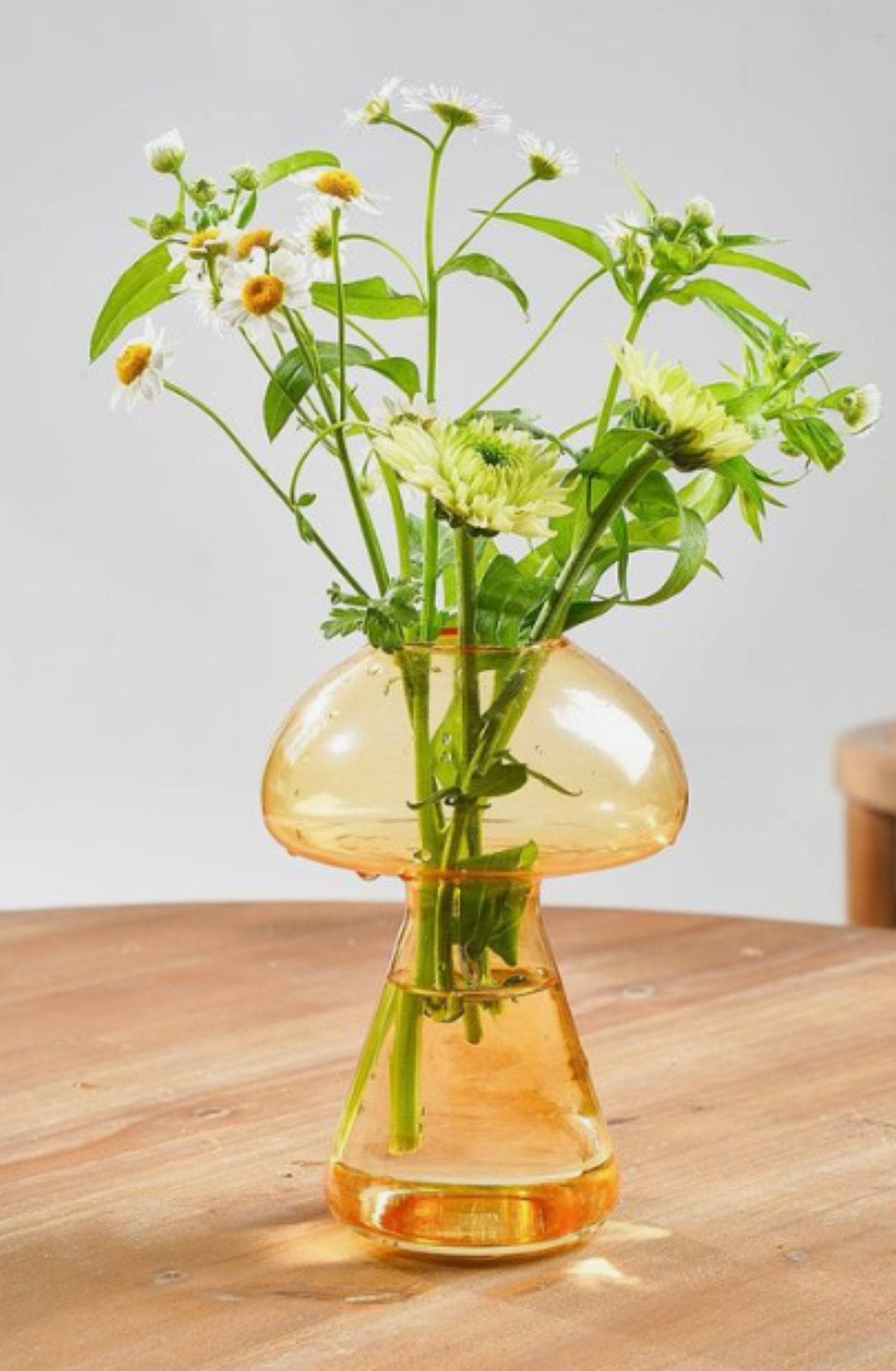 Set of 3 Handmade Whimsical Glass Mushroom Vase Set Mini Fungi Home ...