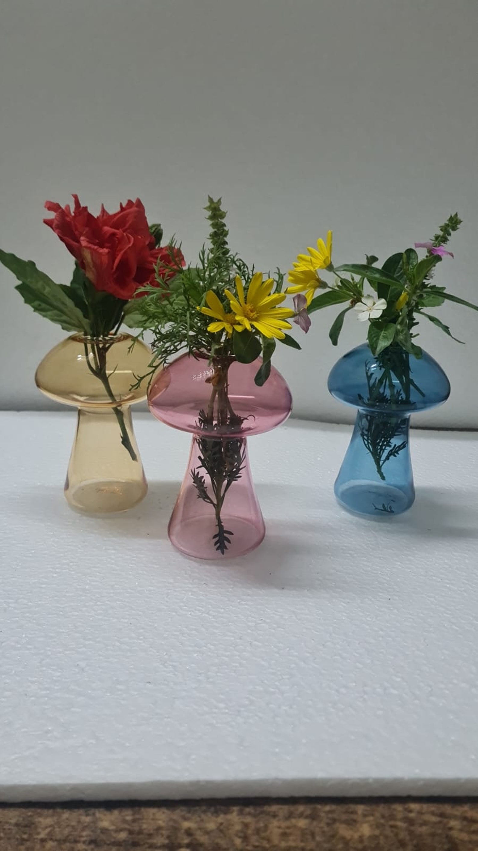 Set of 3 Handmade Whimsical Glass Mushroom Vase Set - Mini Fungi Home ...