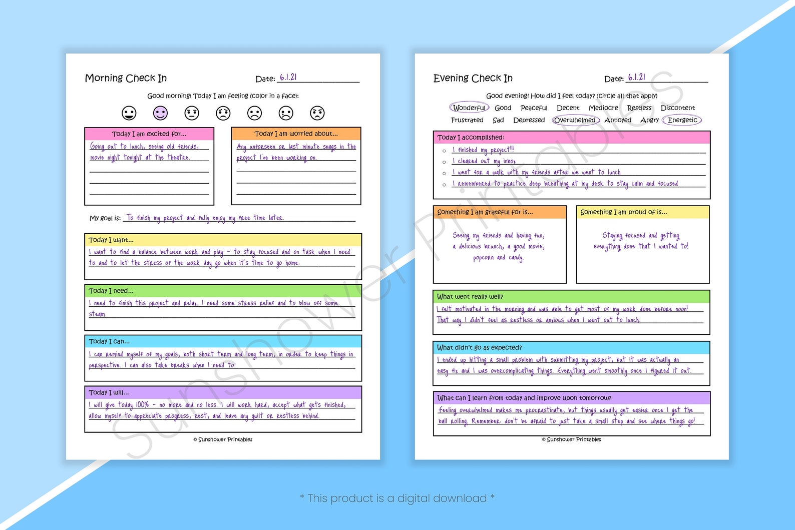 Daily Reflection Journal Pages Printable Check In Morning & - Etsy