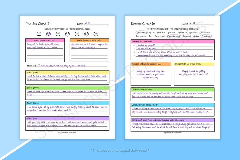 Daily Reflection Journal Pages Printable Check In Morning & - Etsy