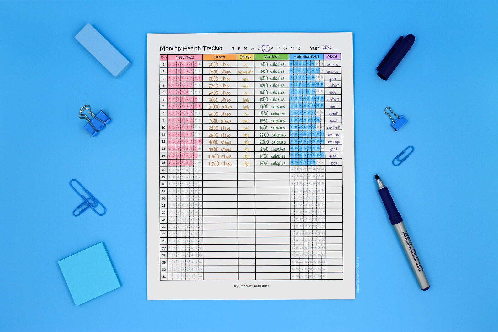 Monthly Health Tracker Printable Chart Daily Wellness - Etsy