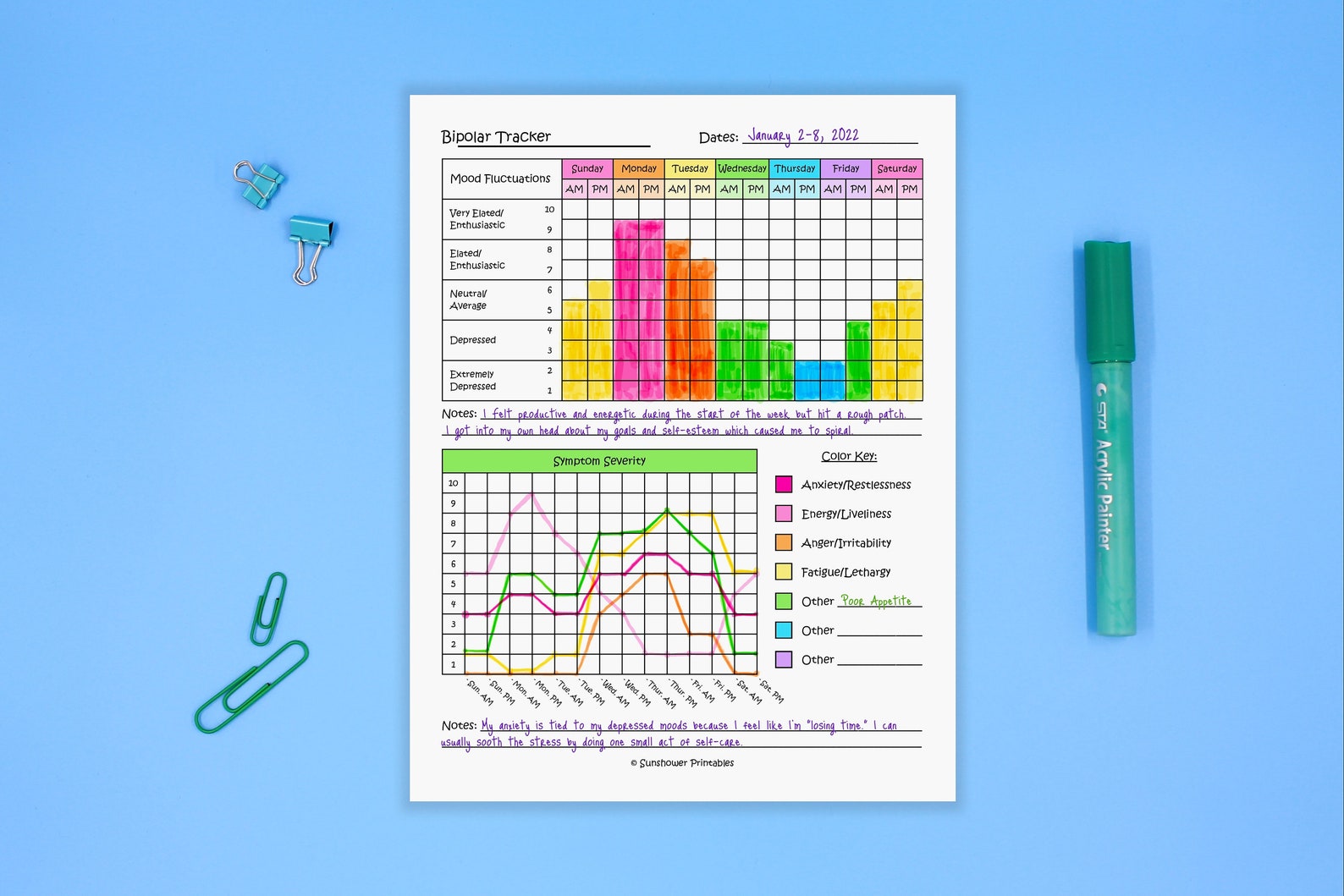 Bipolar Disorder Printable Mood Tracker Symptom Record - Etsy