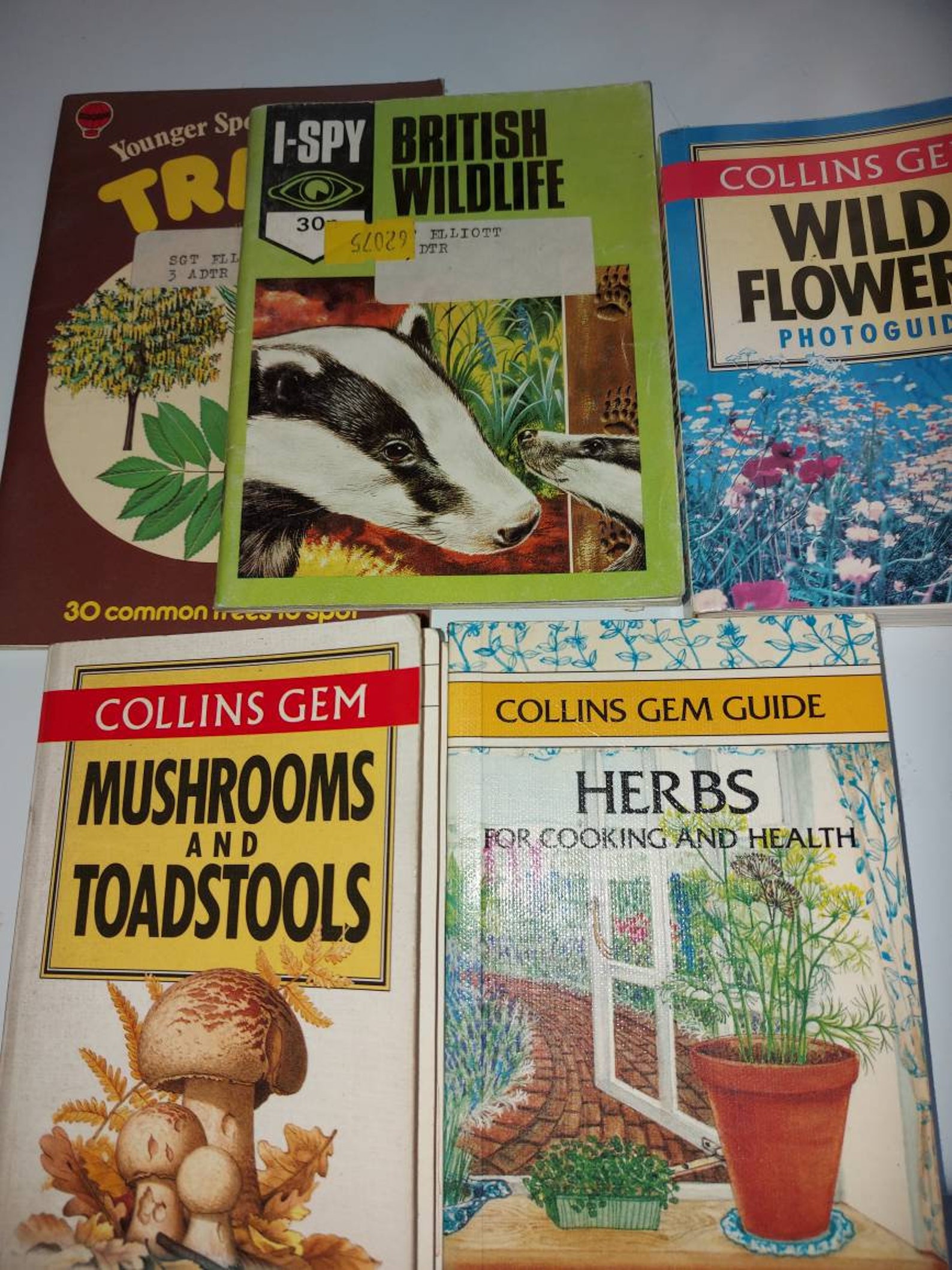 Super Vintage Book Bundle Collins Gem, I Spy and Spotters Guides 1970s ...
