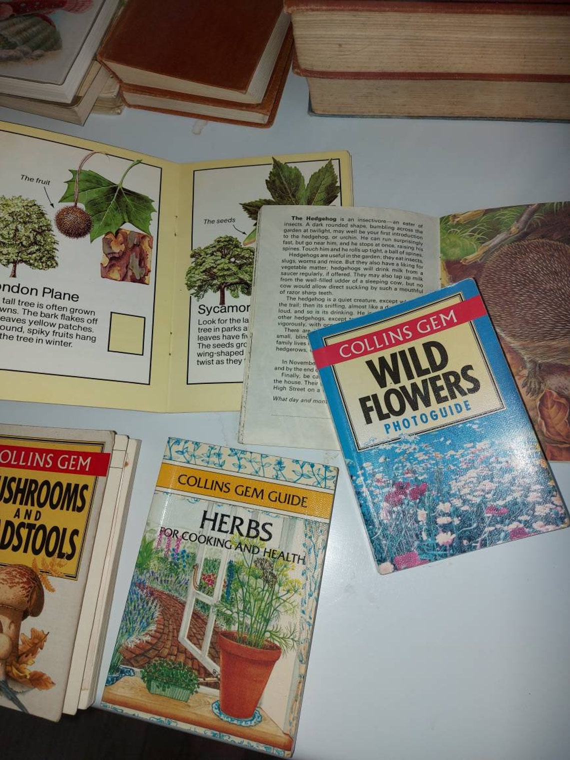 Super Vintage Book Bundle Collins Gem, I Spy and Spotters Guides 1970s ...