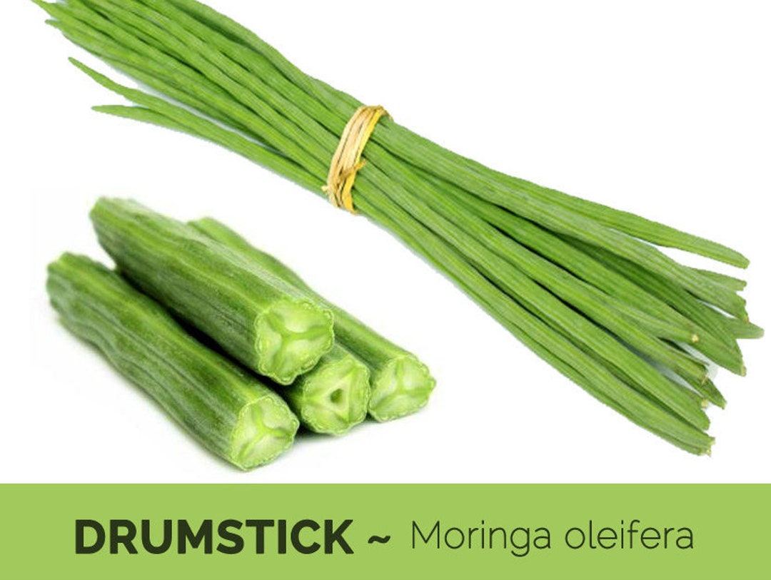 Fresh Drumstick 300g - Fresh Moringa Stick, Fresh Indian Veg Saragavo ...