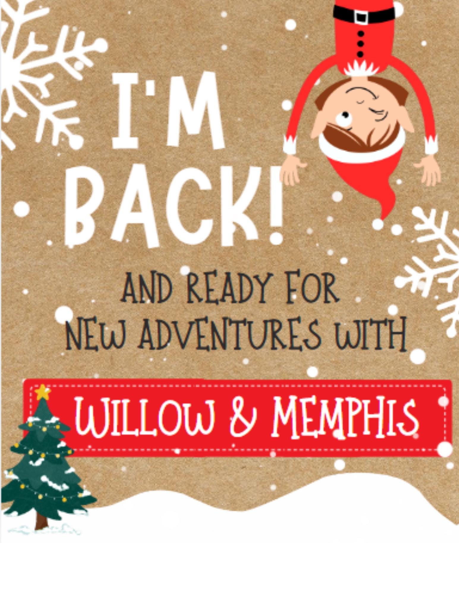 ELF Arrival Banners Hand Painted Customizable 4 OPTIONS - Etsy