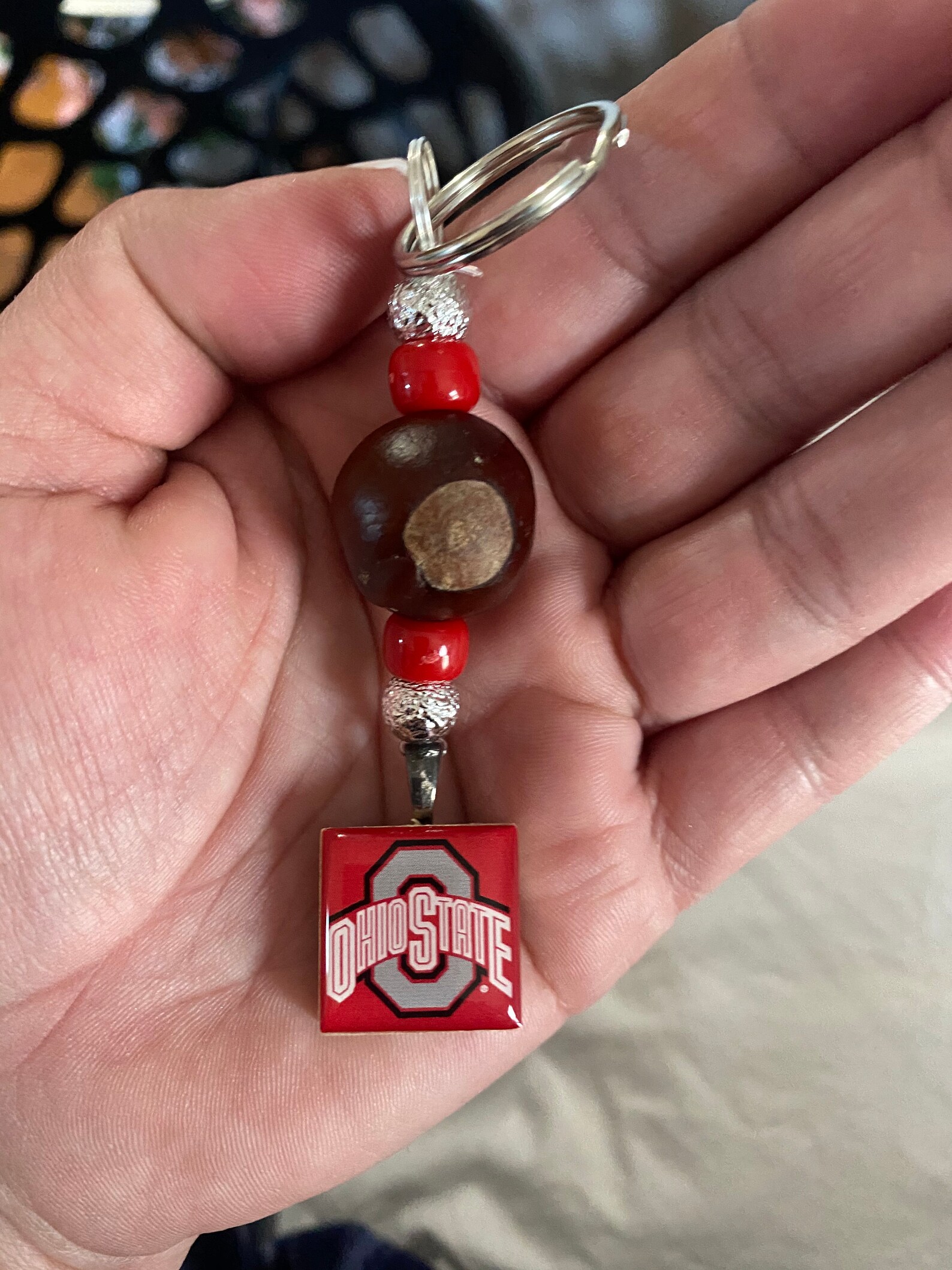 Ohio State Buckeyes Keychain. Real Buckeye. Great Gift for Any | Etsy