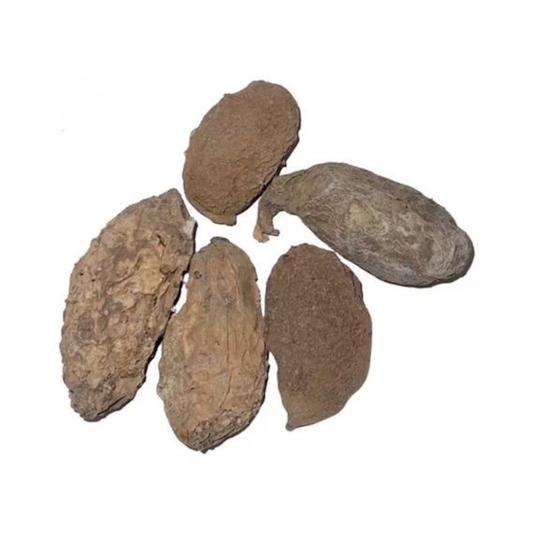 Obi Edun/monkey Kola - Etsy