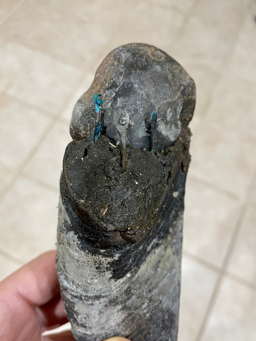 Quadruple Action Olugbohun (power Horn) - Etsy