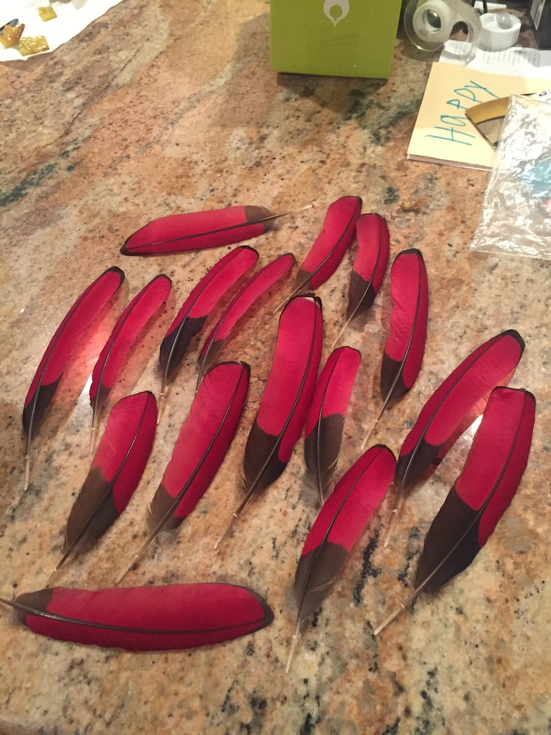 Top Quality Aluko (red Turaco) Feathers. - Etsy