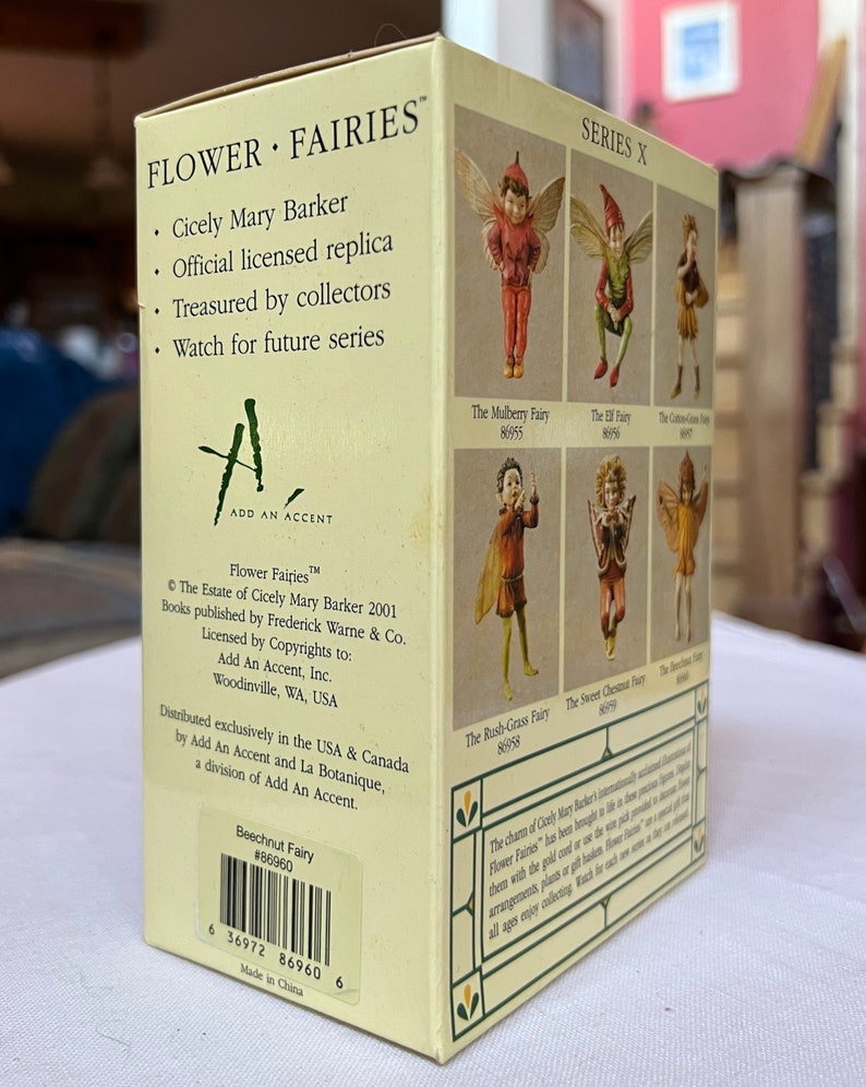 Beechnut Fairy the Original Flower Fairies Collection Series - Etsy
