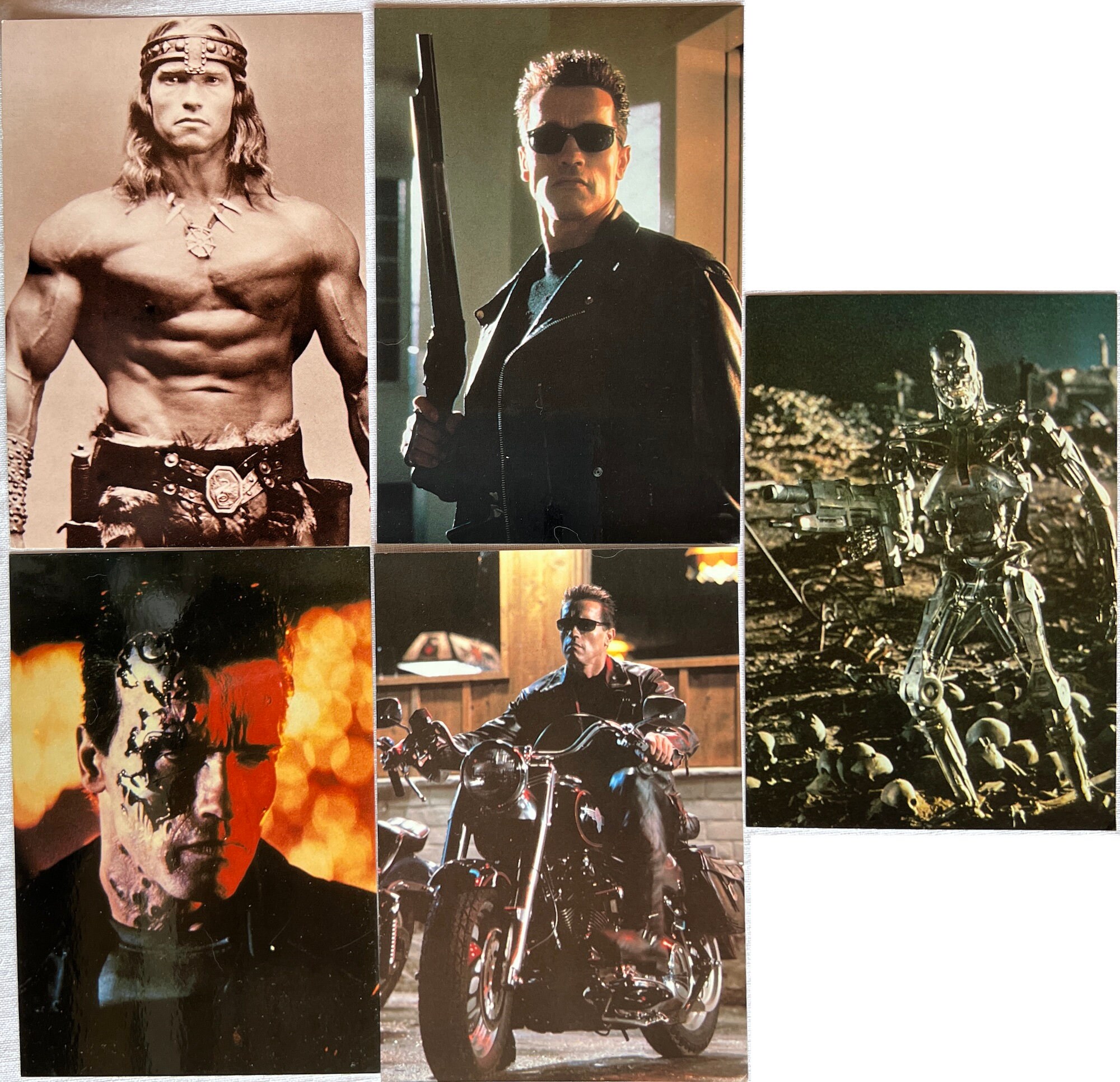 Arnold Schwarzenegger 1991