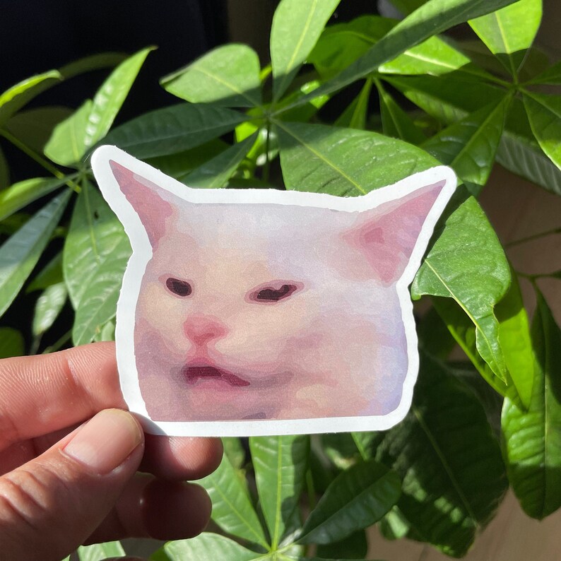Cat Meme Sticker Funny Stickers 3.5 Inch Vinyl Sticker - Etsy