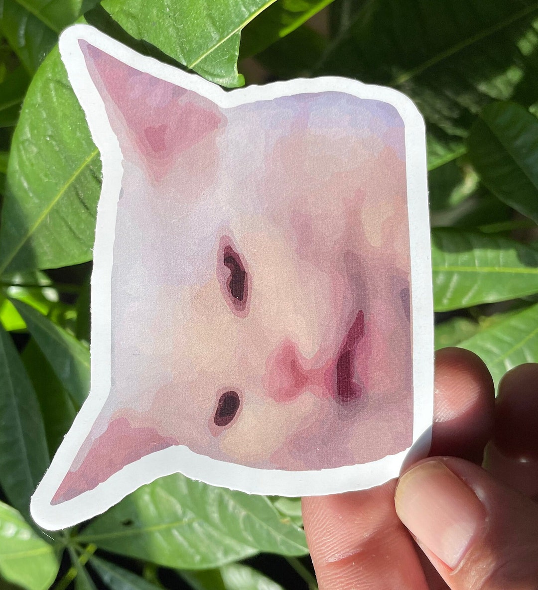 Meme Cat Sticker Funny Stickers 3.5 Inch Vinyl Sticker - Etsy