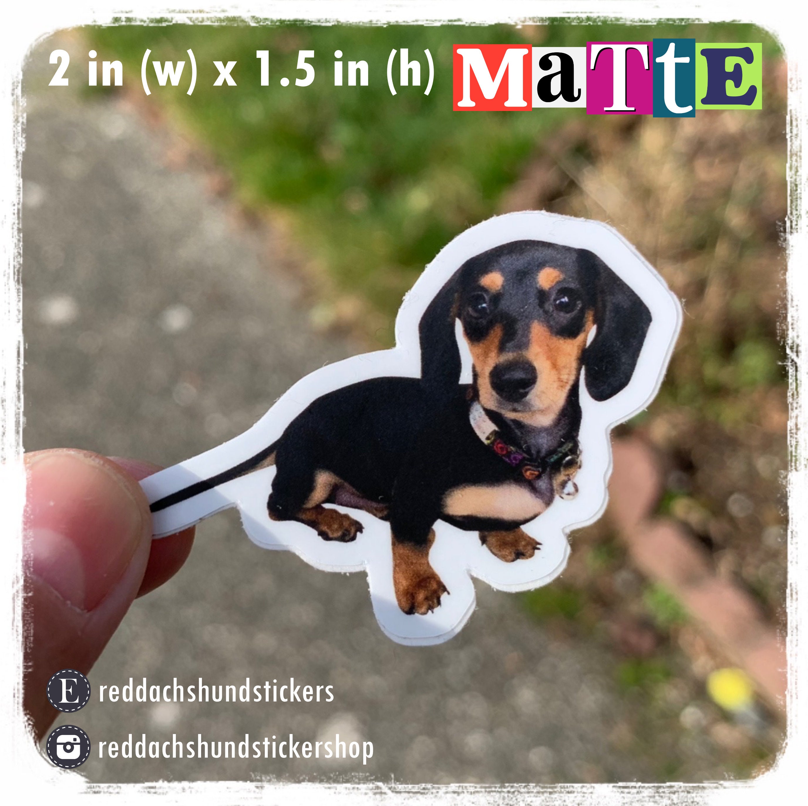 VSCO Sticker Pack Water Bottle Stickers 50 / 25 Pack Dachshund Stickers ...