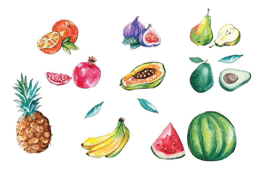 Watercolor Fruits Clip Art Fruits Illustrations Food Clip Art - Etsy
