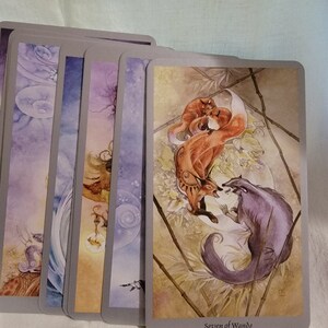 Shadowscapes Tarot Card & Book Set - Etsy