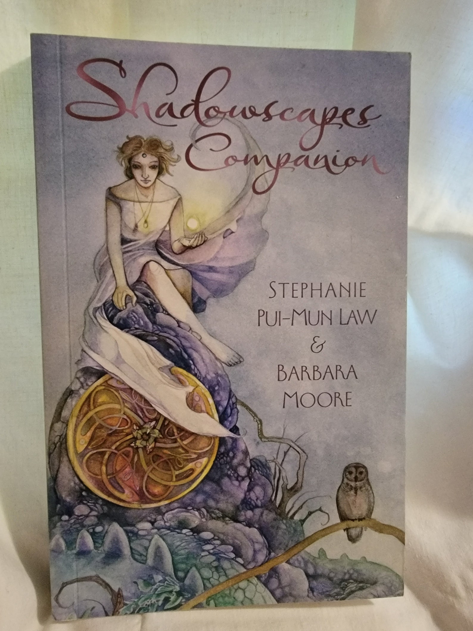 Shadowscapes Tarot Card & Book Set - Etsy