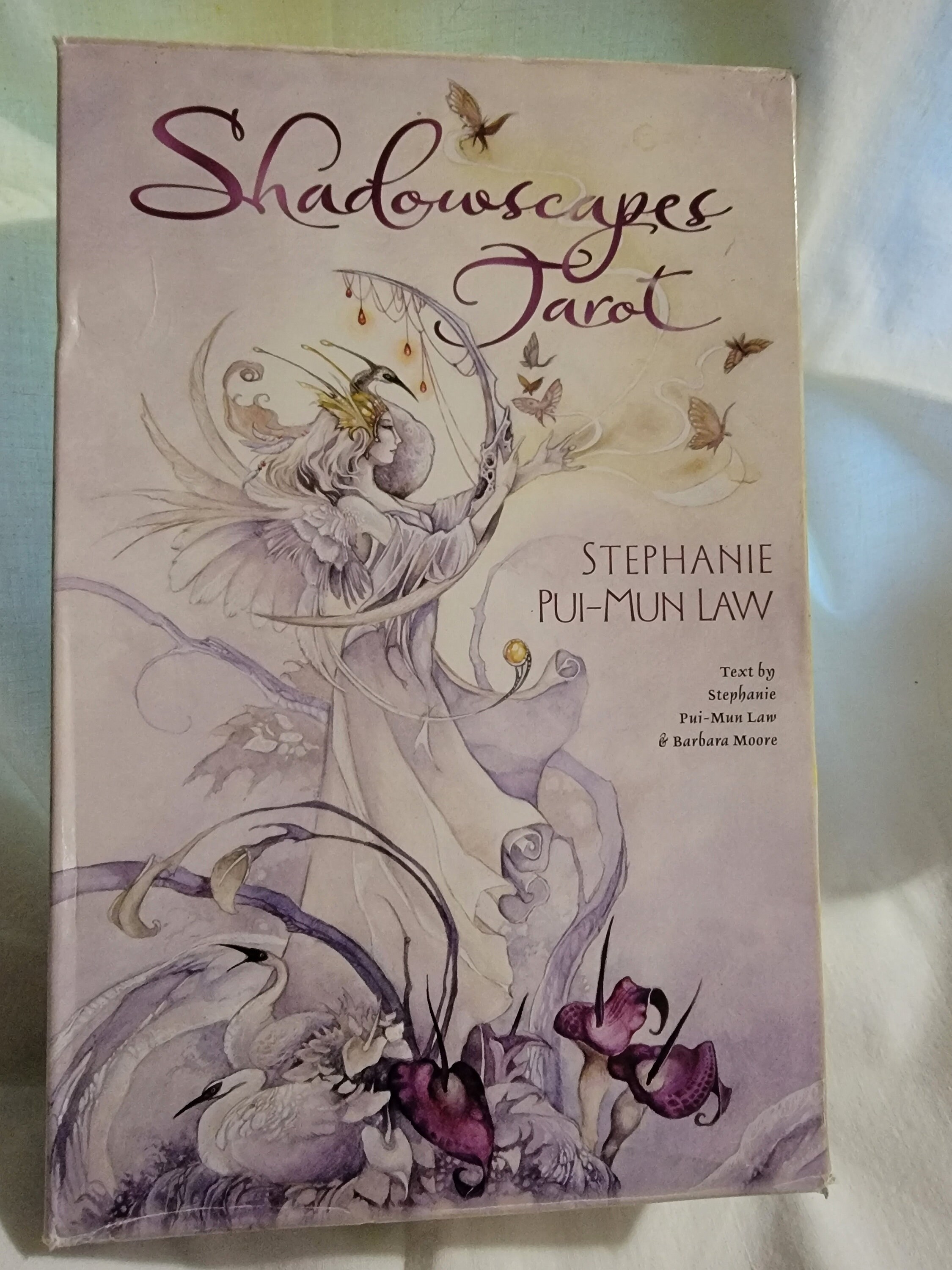 Shadowscapes Tarot Card & Book Set - Etsy