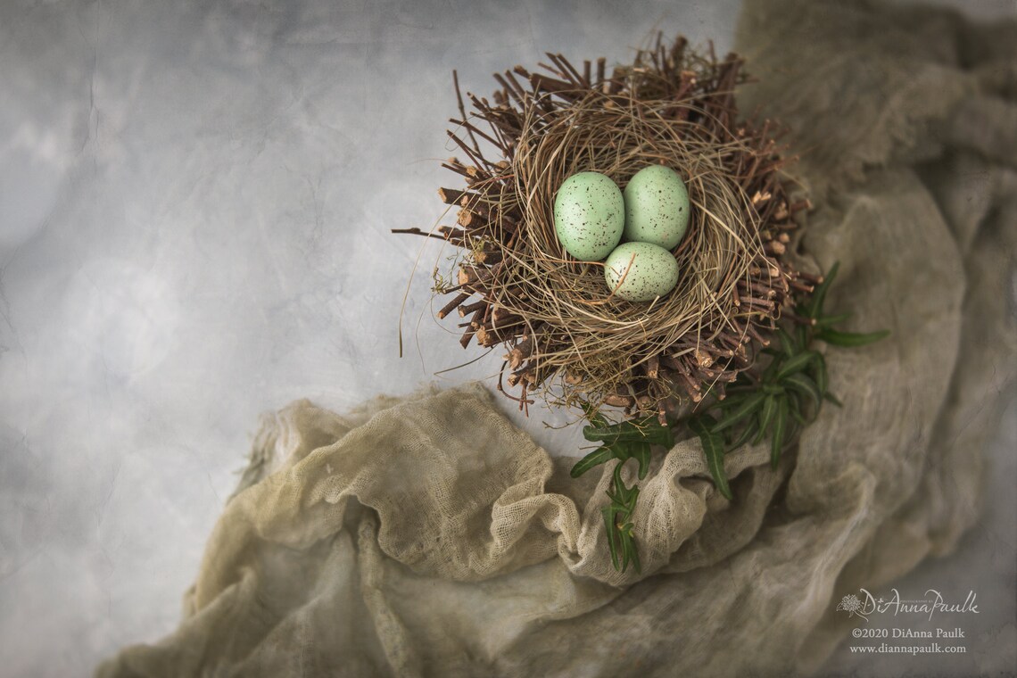 Afternoon Tea Photoshop Texture Set, Photoshop Overlays, Digital ...