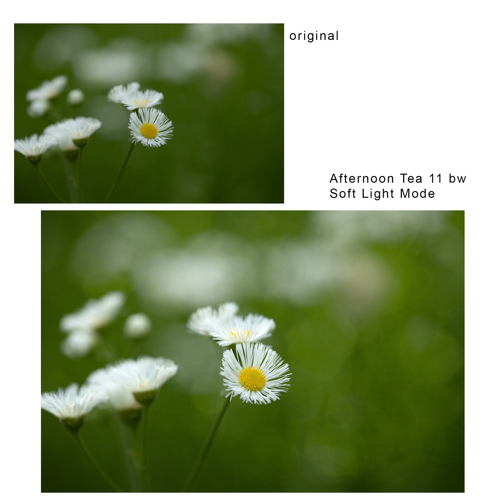 Afternoon Tea Photoshop Texture Set: Bokeh Photography Overlays ...
