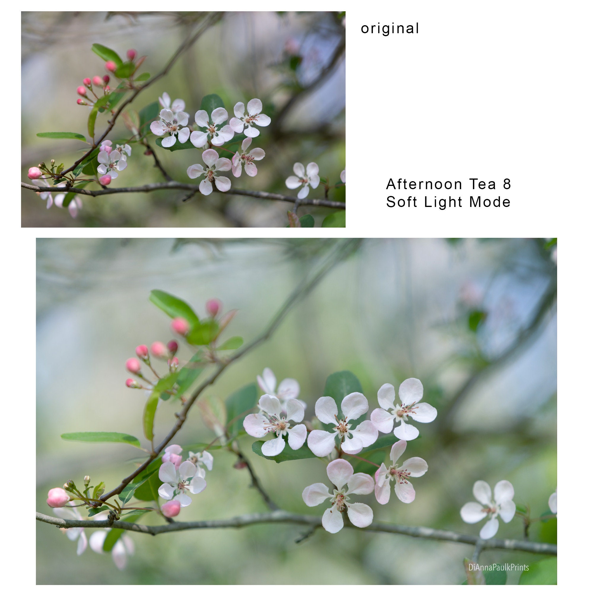 Afternoon Tea Photoshop Texture Set, Photoshop Overlays, Digital ...