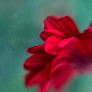 Painterly 4 Photoshop Texture Set, Painterly Texture, Photoshop ...