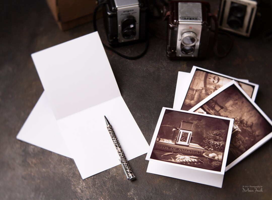 Vintage Camera Stationery Note Cards, Boxed Set of 5, Folded, Gifts ...