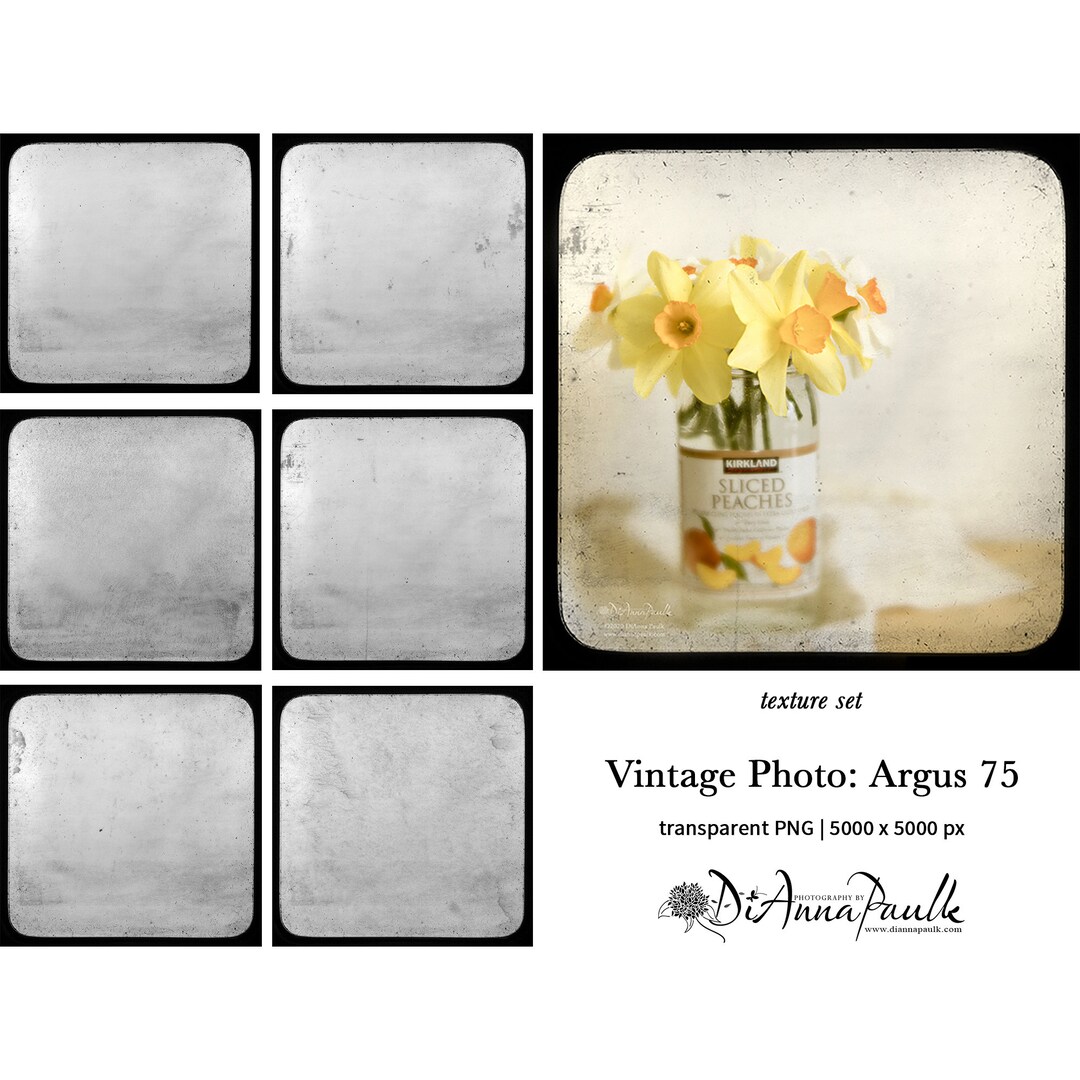 Argus 75 Vintage Camera Textures: Photo Overlays & Brushes (PNG) - Etsy