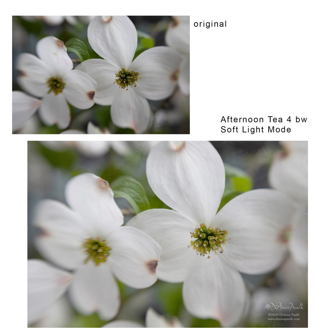 Afternoon Tea Photoshop Texture Set, Photoshop Overlays, Digital ...