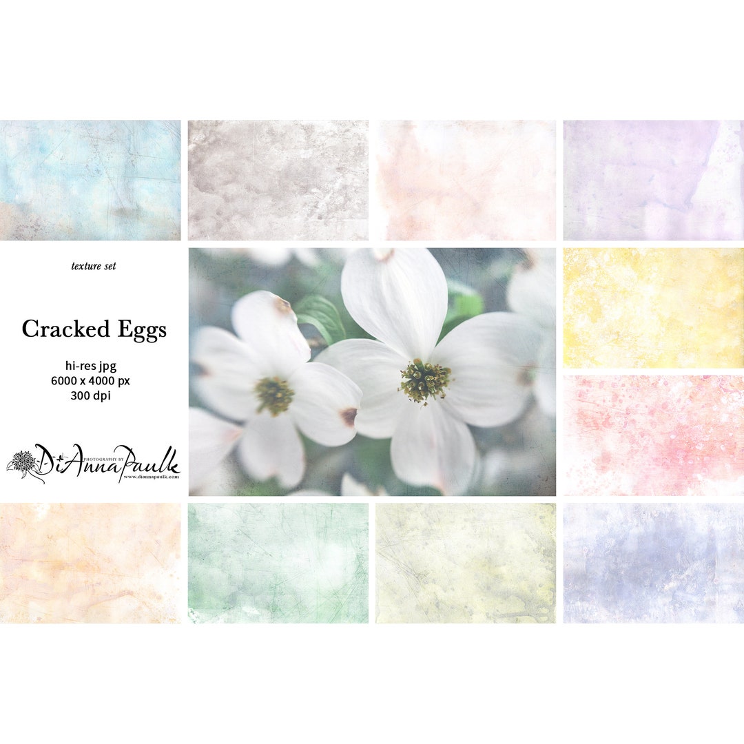 Cracked Eggs Photoshop Texture Set, Photoshop Overlays, Digital ...